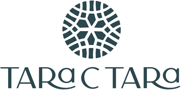 Buy Designer Ethnic Dresses for Women Online | Tara C Tara